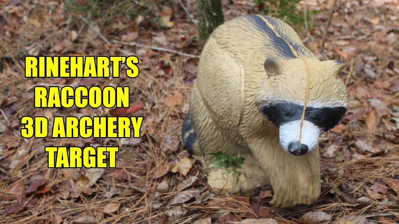 Rineharts Raccoon 3D Archery Target - YouTube