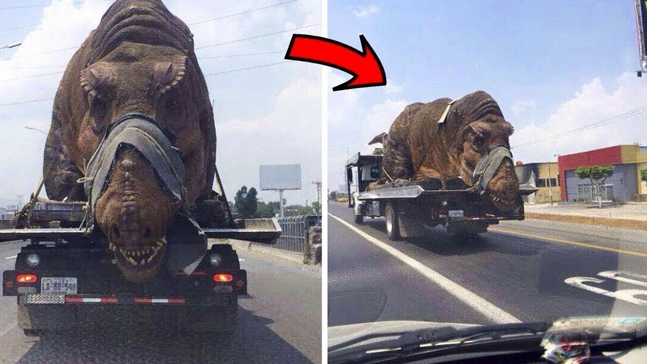 10 Dinosaurs Caught on Camera in Real Life - YouTube