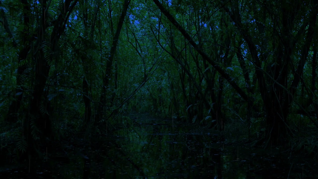 Jungle Frogs and Crickets Sing - 2 hour Swamp Ambience - YouTube