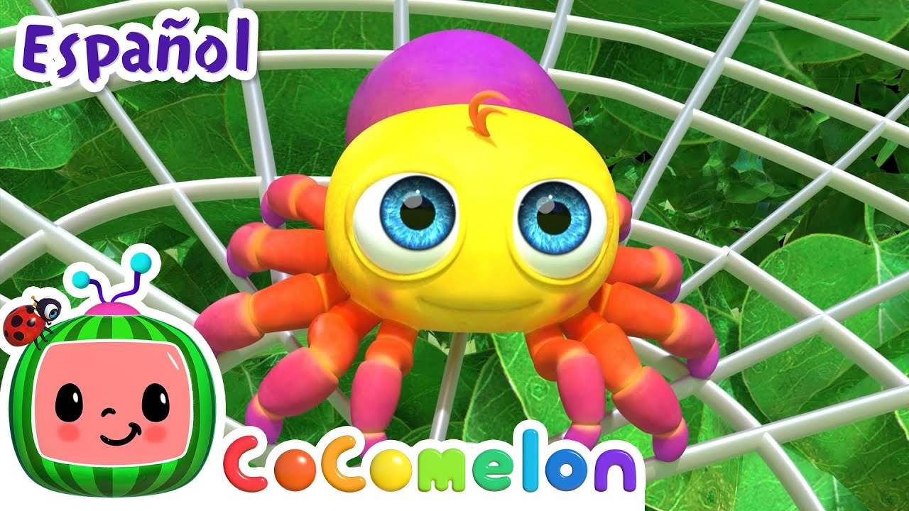Itsy Bitsy Spider