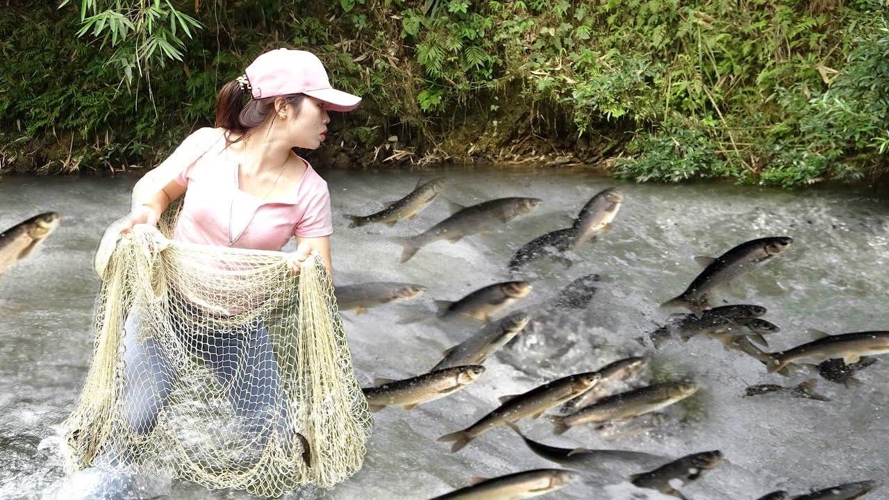 Great Fishing Techniques, How To Trap Stream Fish and Traditional ...