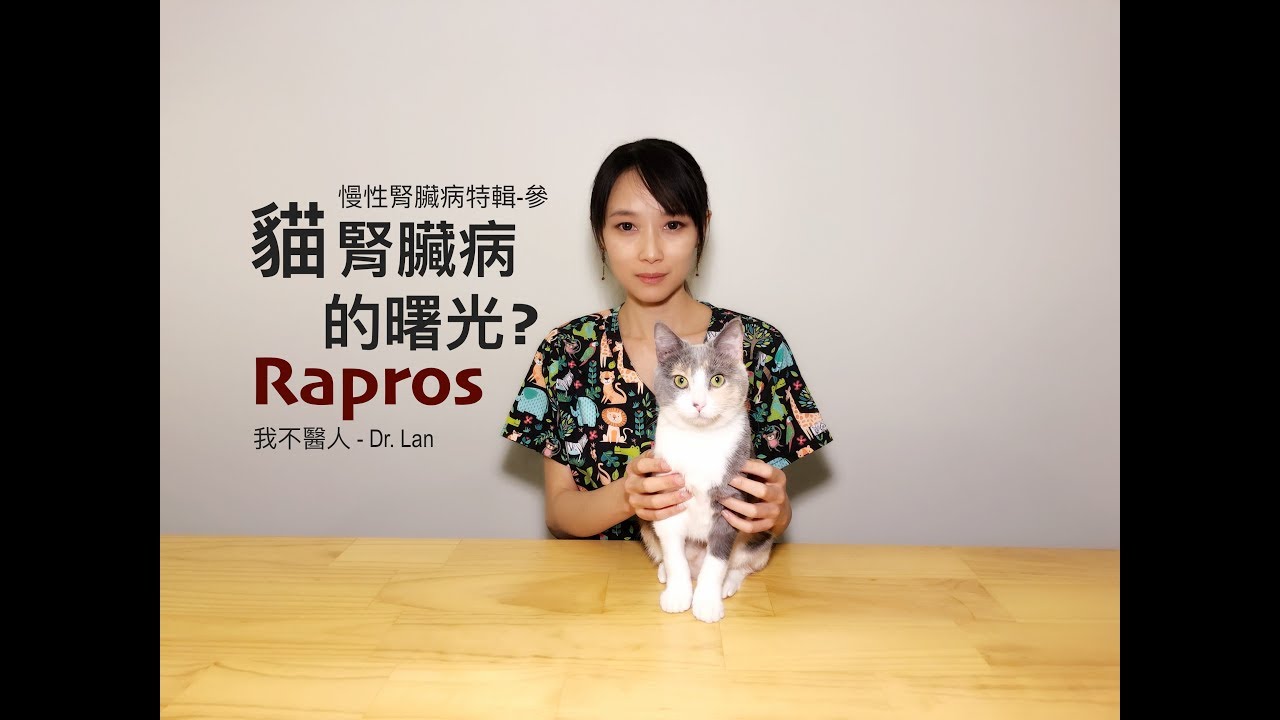 腎臟新藥Rapros - YouTube