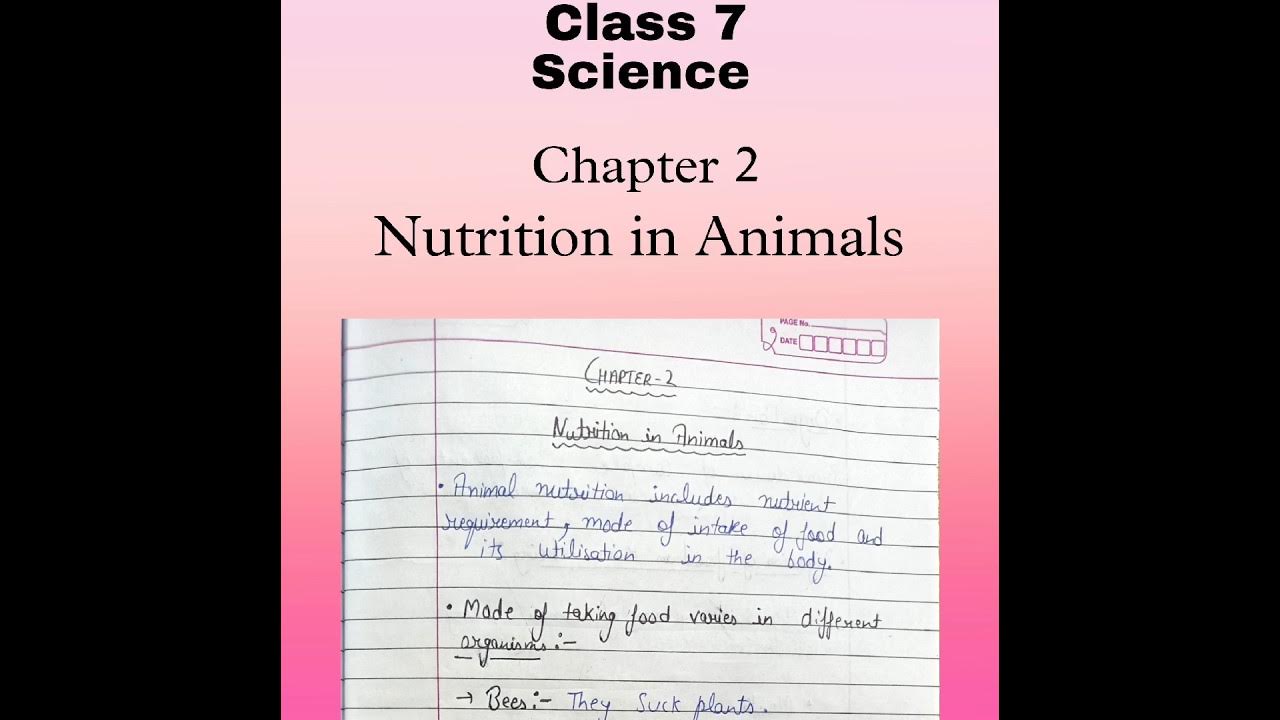Class 7 Science Chapter 2 Nutrition In Animals Notes YouTube class-7-science-chapter-2-nutrition-in-animals-notes-youtube