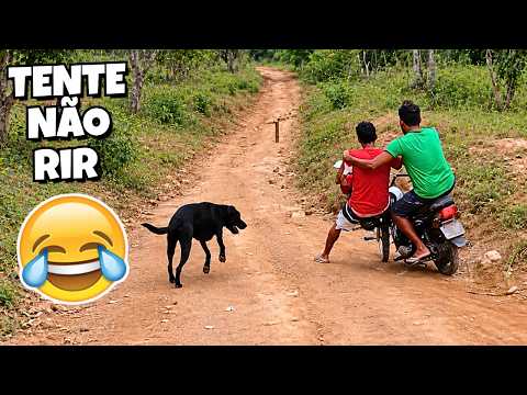 VÍDEOS ENGRAÇADOS 2026 😂 O QUE PODERIA DAR ERRADO? ABSOLUTAMENTE TUDO! 😅 - #69