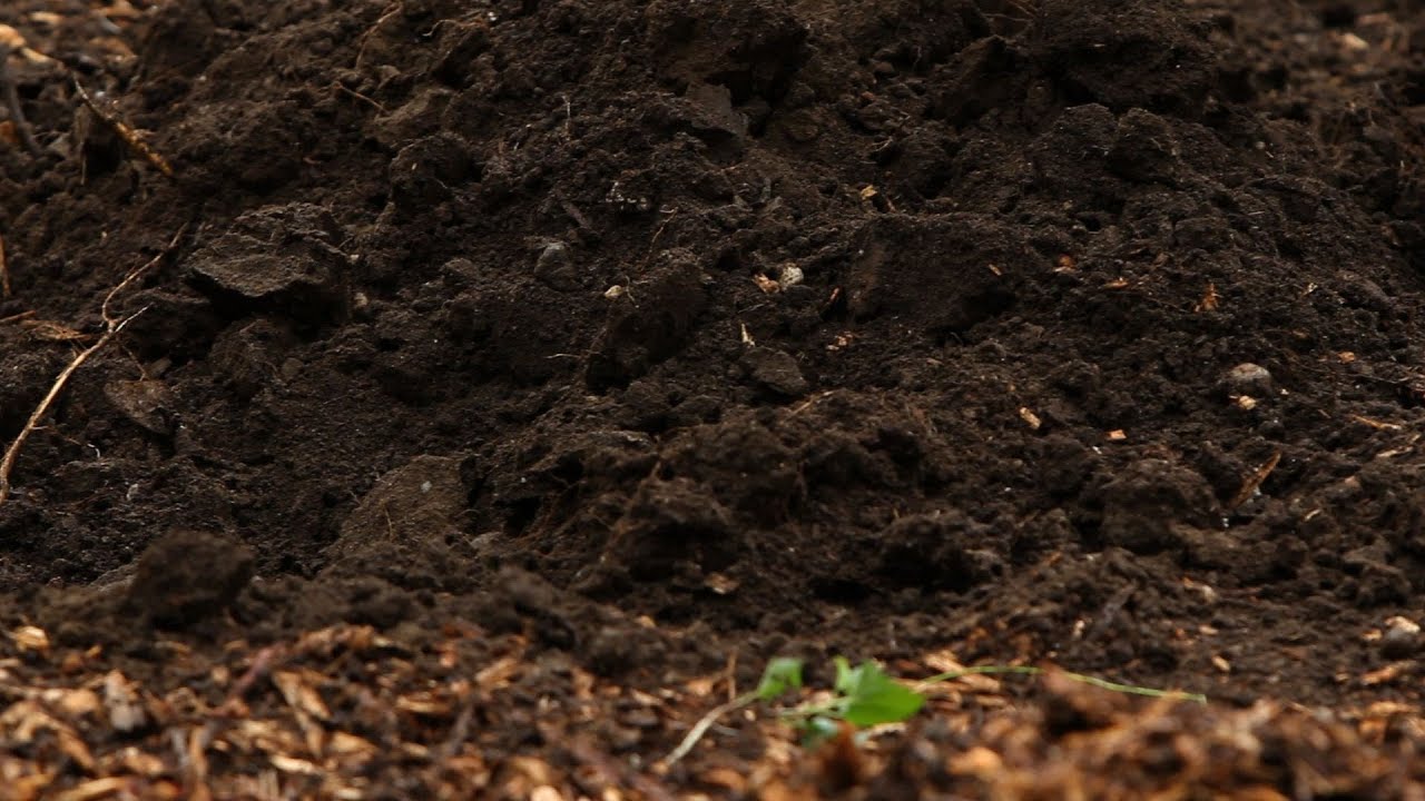 Soil Basics | Lawn & Garden Care - YouTube