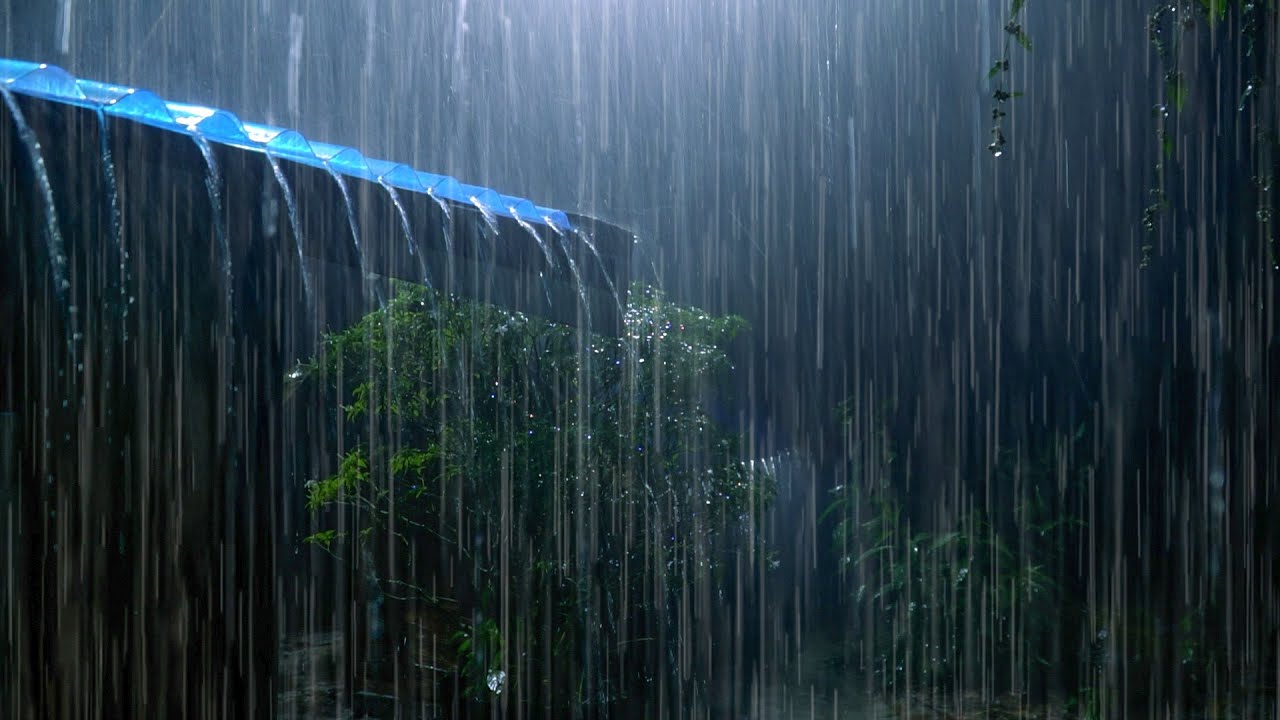 🔴 The cold rain came rushing in and quickly poured on the roof of the ...