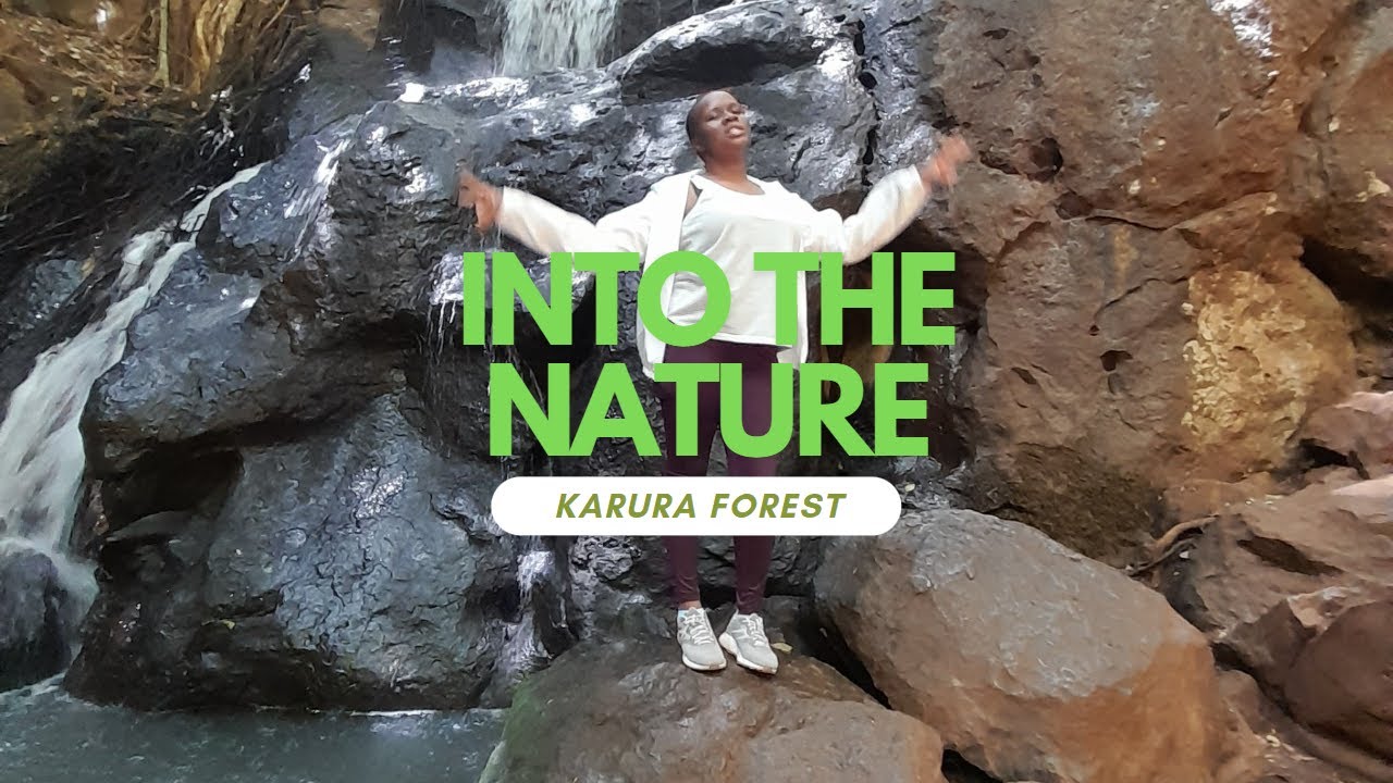 DETAILED VLOG:Visiting KARURA FOREST//EVERYTHING YOU NEED TO KNOW - YouTube