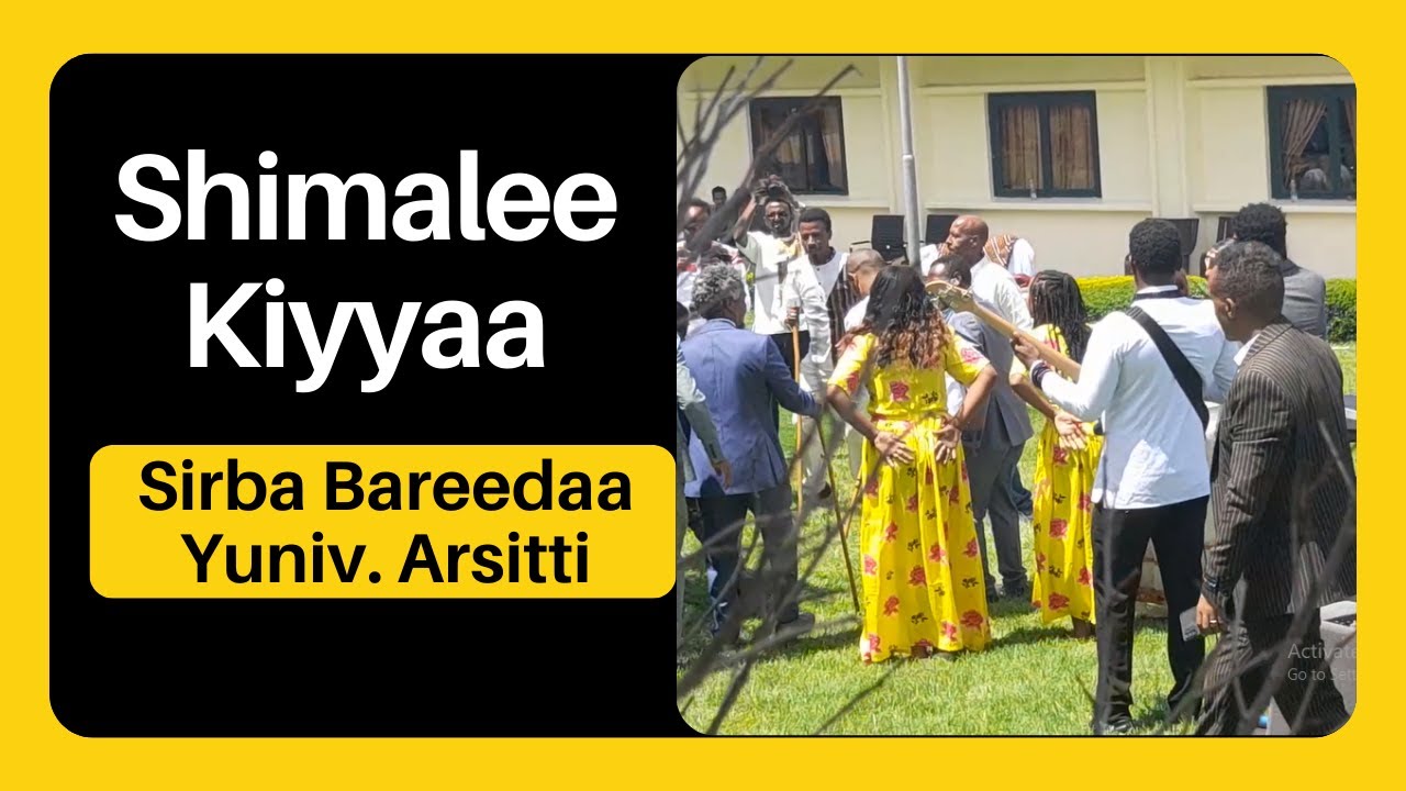 New Oromo Music 2023 | Shimalee kiyya | Sirba Bareedaa Yunivarsiitii ...