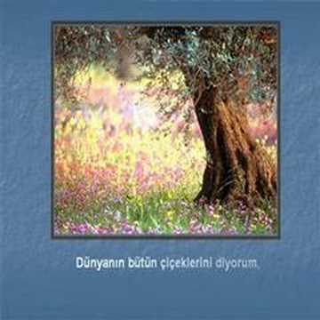 Dünyanın Bütün Çiçekleri