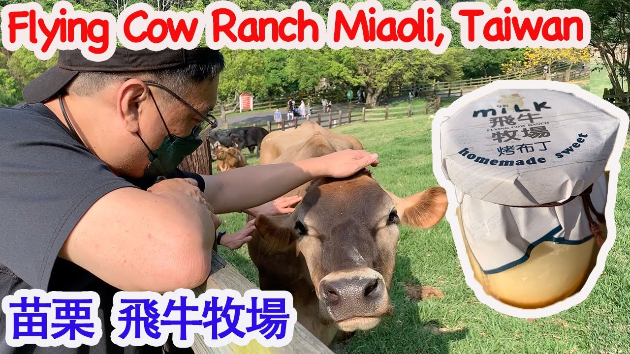 Miaoli Flying Cow Ranch 飛牛牧場 苗栗 [Mike's Report 麥可報告] English Subtitles ...