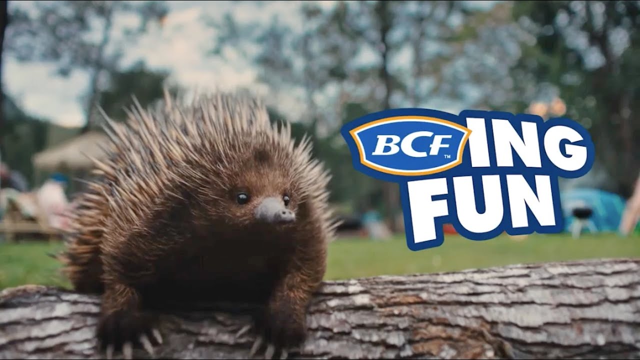 BCFING FUN IS BACK! 2025 BCF Ad feat. vocals by Lee Kernaghan - YouTube