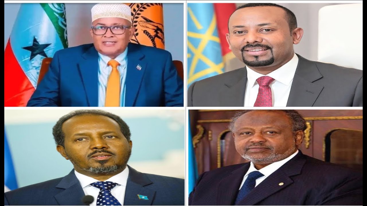 HNN:HNN:Oduu Olmaya Oromiyaa & Addunyaa.November 19, 2024 - YouTube