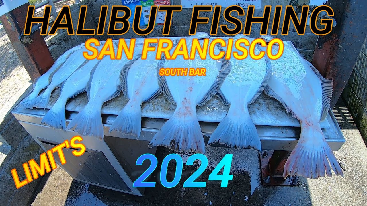 HALIBUT FISHING SAN FRANCISCO S. BAR 8:30am limits again🔥🔥🔥 - YouTube