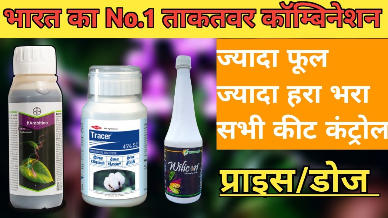 best insecticide pgr combination | tracer insecticide | Bayer ambition ...