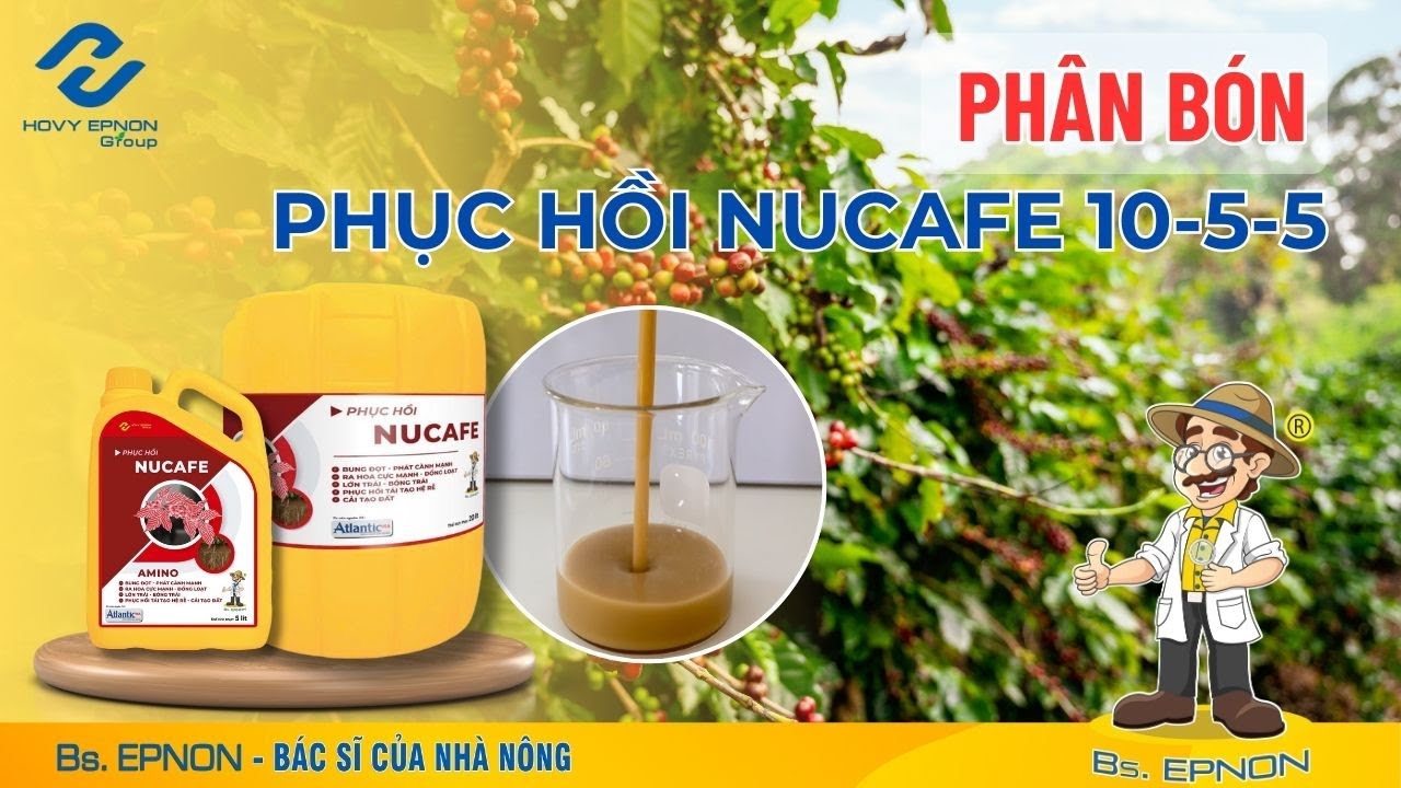 NUCAFE 10-5-5 - ĐỘT PHÁ CHO CÂY CÀ PHÊ HOVY EPNON GROUP - YouTube