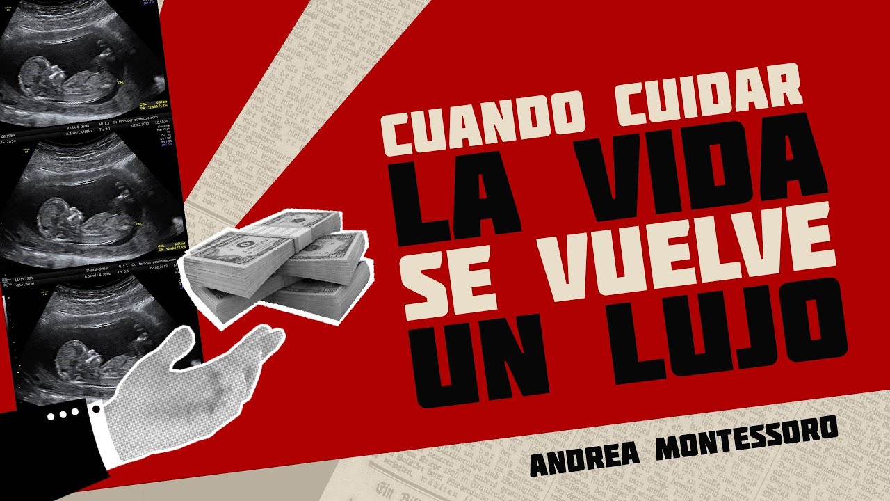 Licencia de maternidad: un tiempo para encontrarse con la nueva vida ...