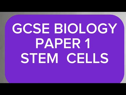 GCSE Biology Stem Cells Summary - YouTube