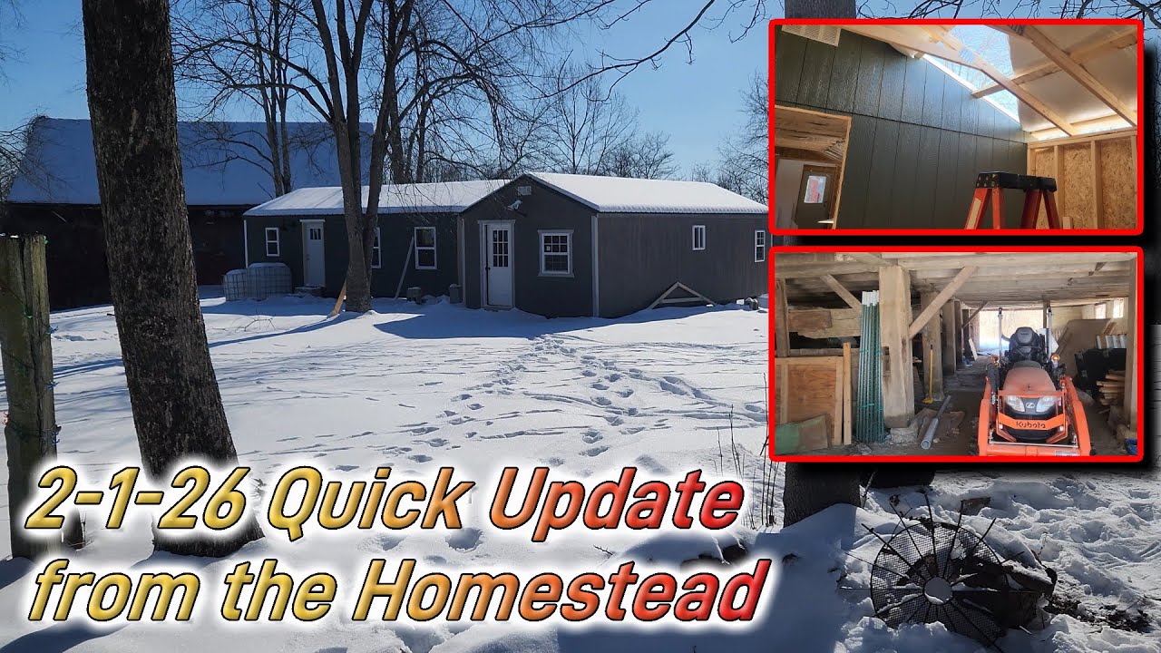 Just a Quick Update and Walk Around at the Homestead - YouTube