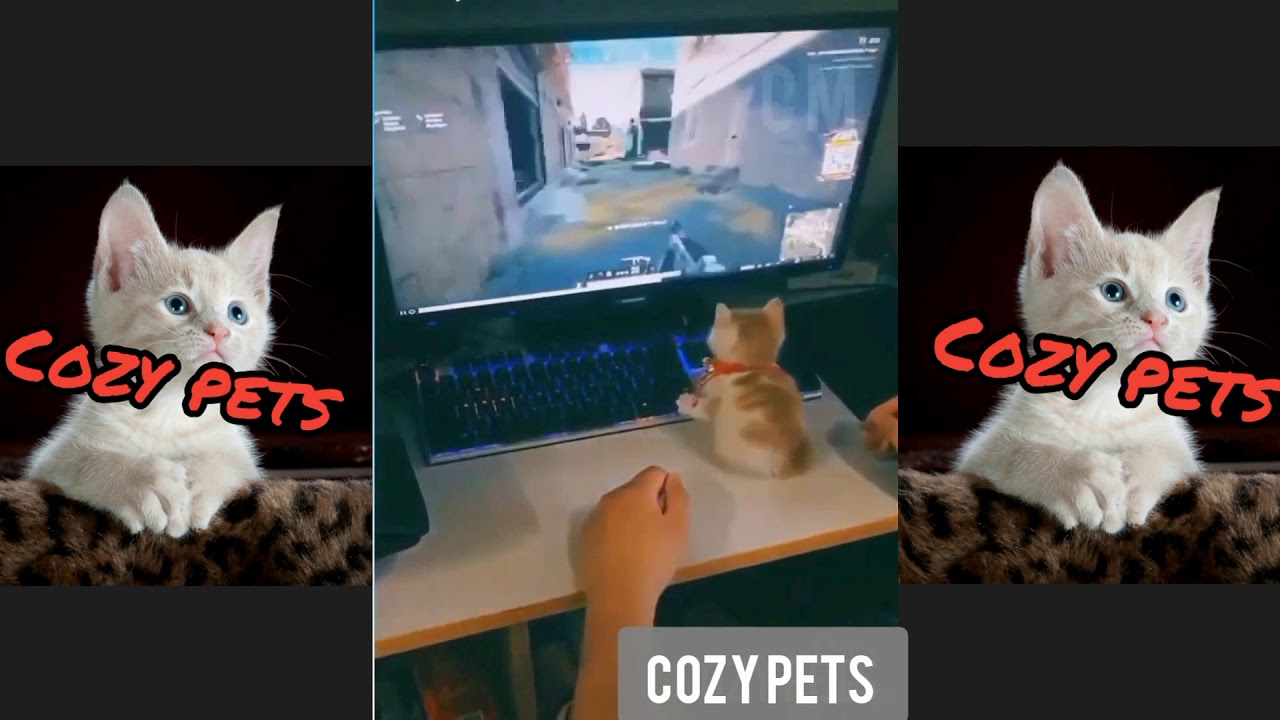 Transparent Xbox Gamerpics 1080x1080 Funny Xbox Gamerpics 1080x1080 023 ...