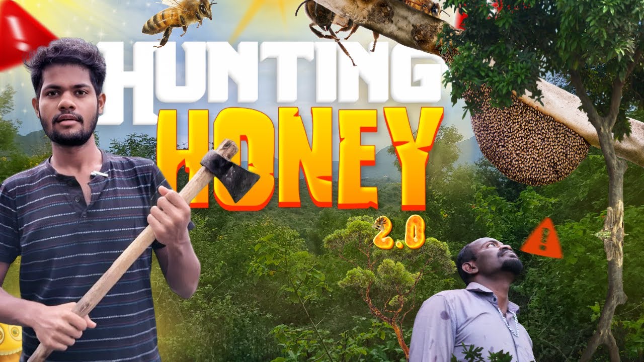 Hunting Honey 🐝🍯 | Is So Dangerous? | Peaceful Alangayam Forest ...