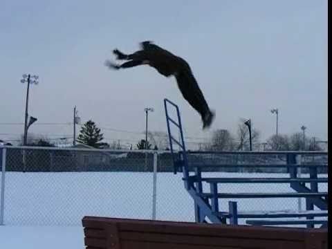 Matt Larose Winter 07-08 (Parkour-Freerunning) - YouTube