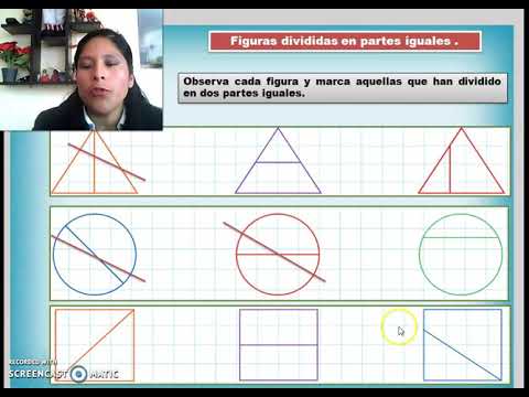 Figuras divididas en partes iguales. - YouTube