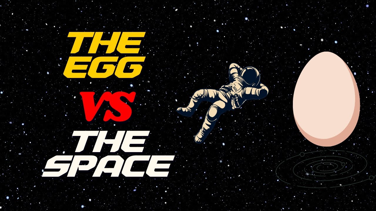 What Happens When We Take Eggs to Space | InFactoGraphy - YouTube