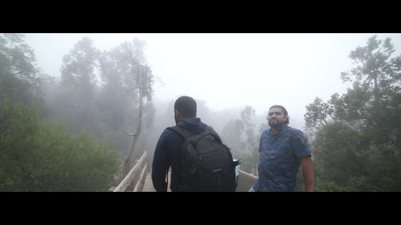 Al Soudah National Park Cinematic video | Al Soudah National Park, ABHA ...
