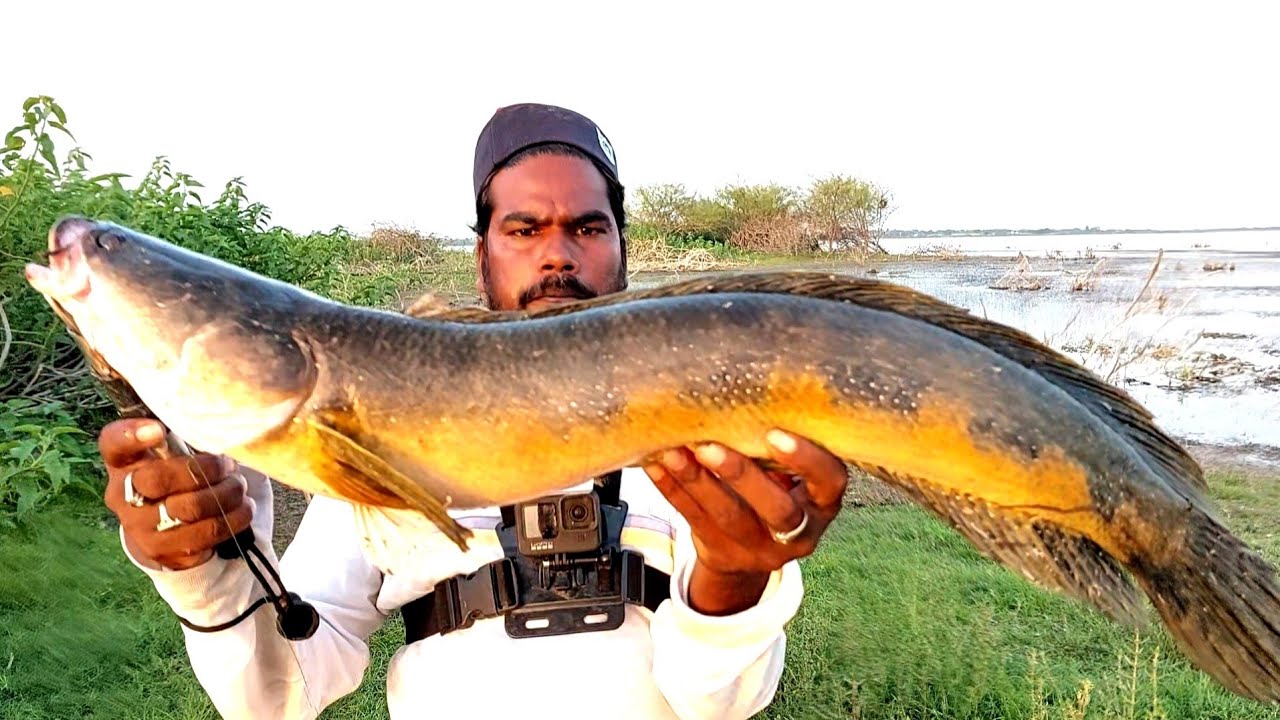 Amazing Traditional Fishing in Water |Traditional Fishing in murral ...