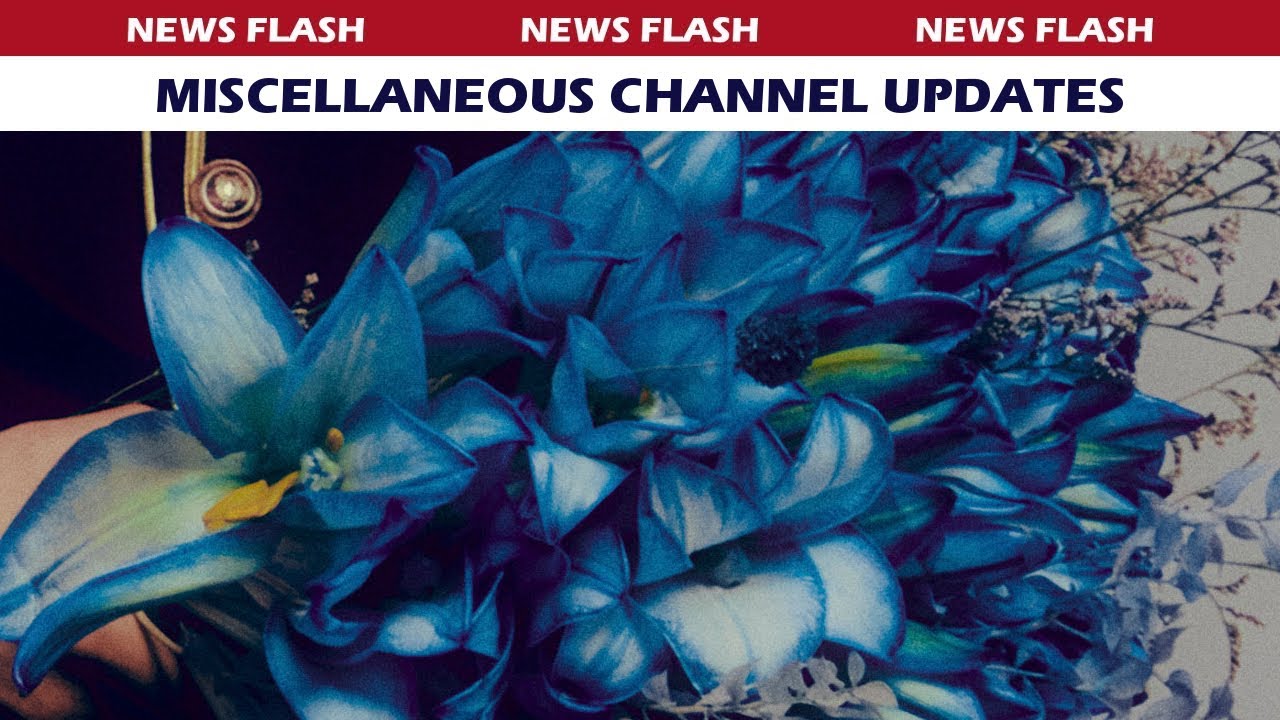 News Flash: Miscellaneous Updates - YouTube