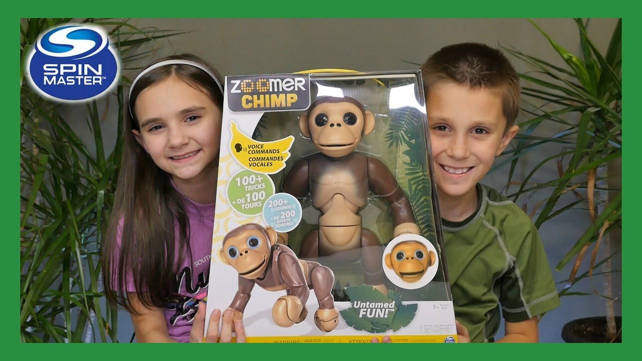 ZOOMER CHIMP INTERACTIVE ROBOTIC PET - YouTube
