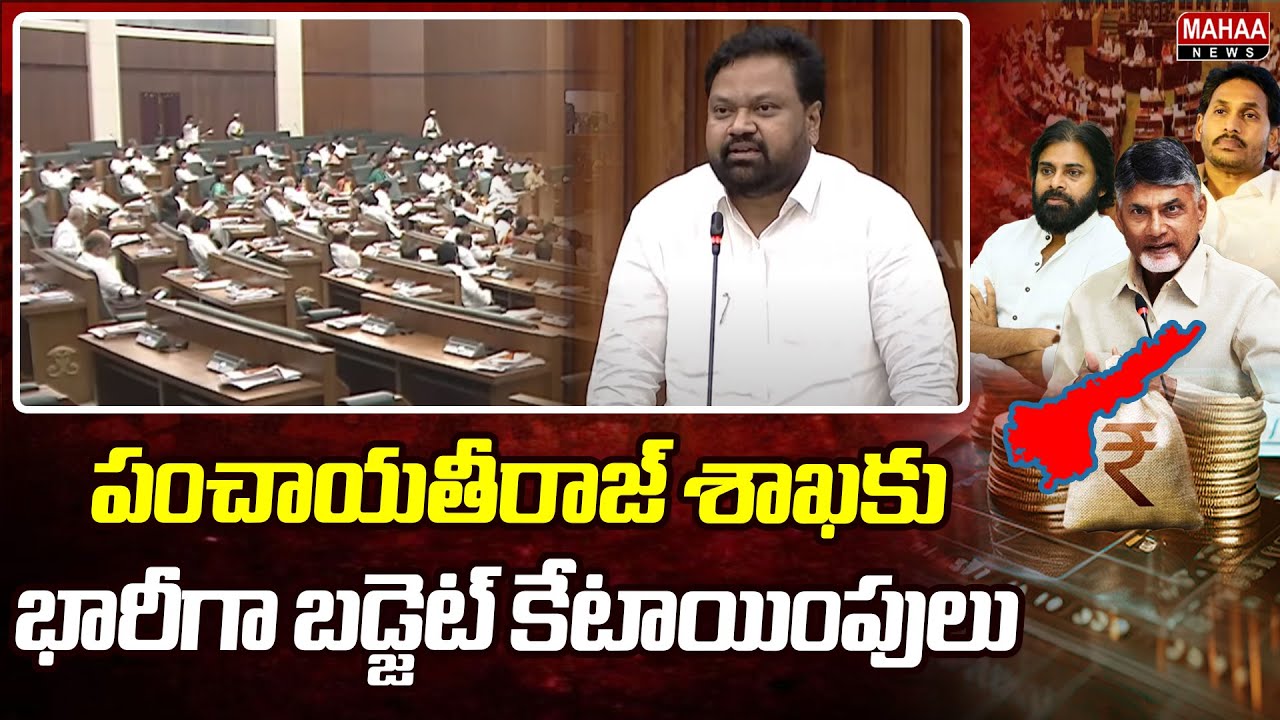 పంచాయతీరాజ్ శాఖకు భారీగా బడ్జెట్ కేటాయింపులు Janasena MLA Jayakrishna Nimmaka - YouTube