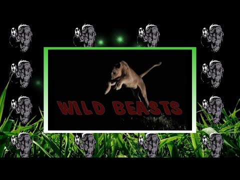 Wild Beasts Trailer