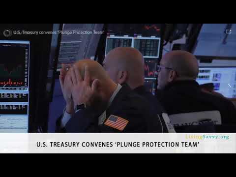 Plunge Protection Team Convenes: Financial Crisis Looming - YouTube