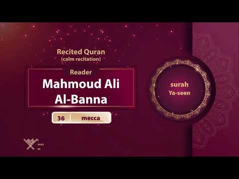surah Ya-seen {calm recitation} {{36}} Reader Mahmoud Ali Al-Banna