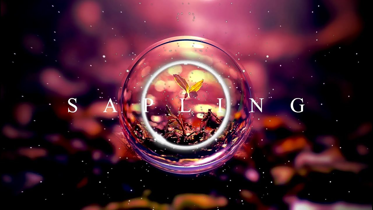 KB10 - Sapling - YouTube