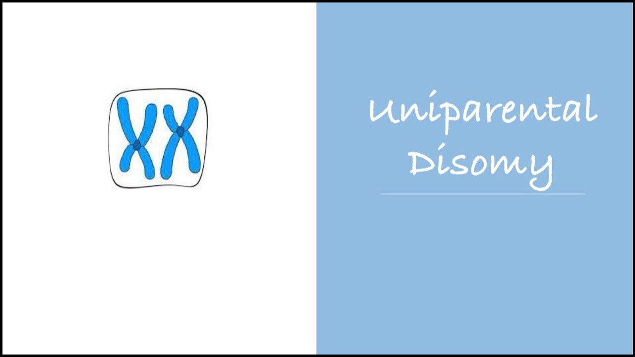 Uniparental Disomy (UPD) | Study Biology with Aarti | Biology Diaries # ...
