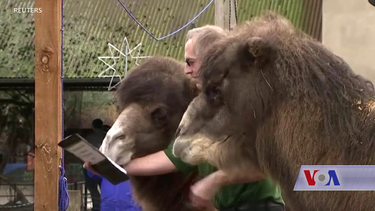 World interesting News Round up ( January 06,2020) - YouTube