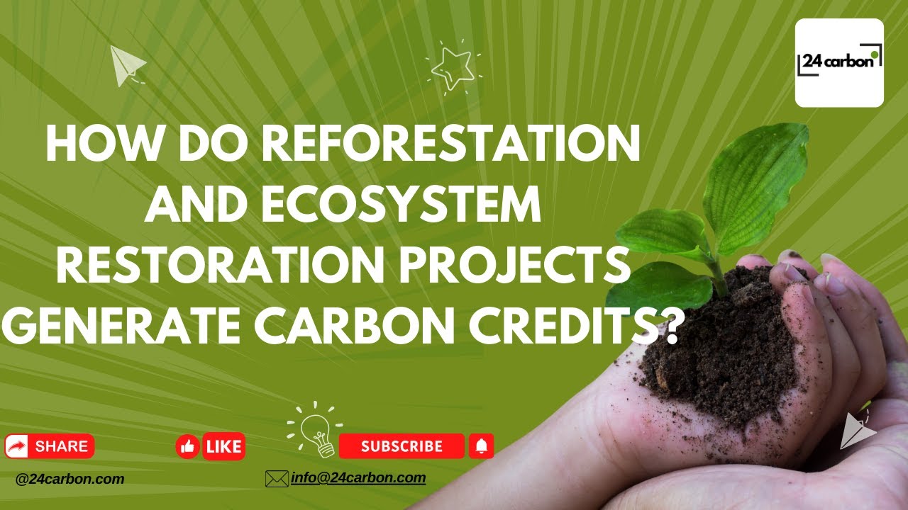 How Do Reforestation and Ecosystem Restoration Projects Generate Carbon ...