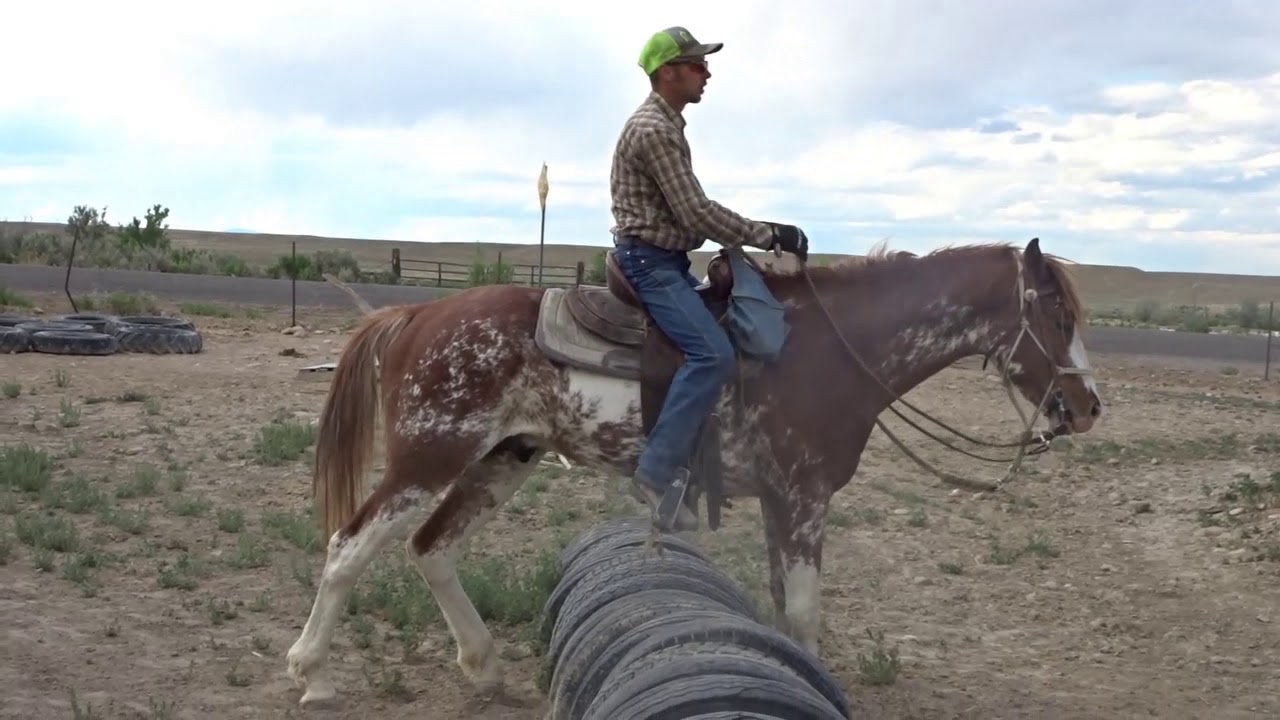 Star Spangled Cowboy - YouTube