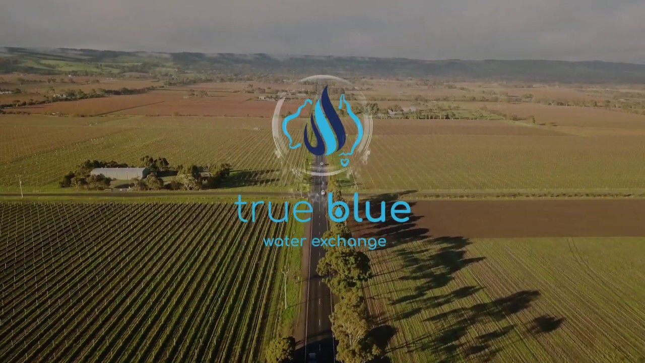 True Blue Water Exchange - Brand Overview - YouTube