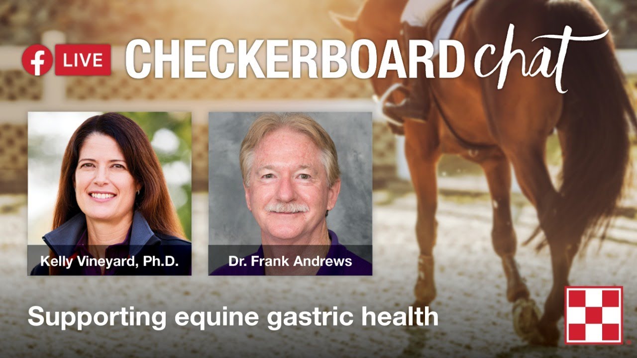 Checkerboard Chat: Purina® Outlast® Gastric Care for Horses - YouTube