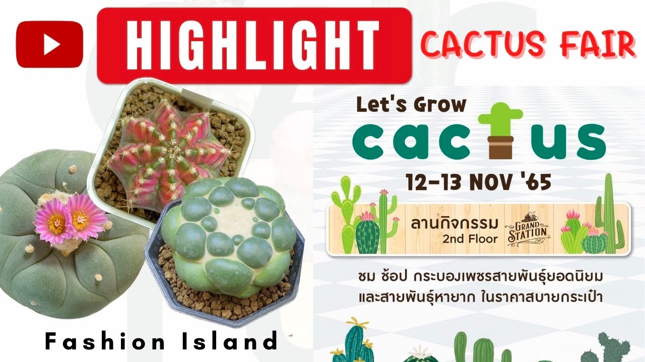| Garden | Highlight Tour งาน Let’ Grow Cactus Fair @Fashion Island 12 ...