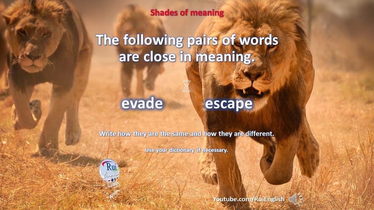 Aula de inglês: VOCABULARY V11/05 Shades of meaning - evade escape ...
