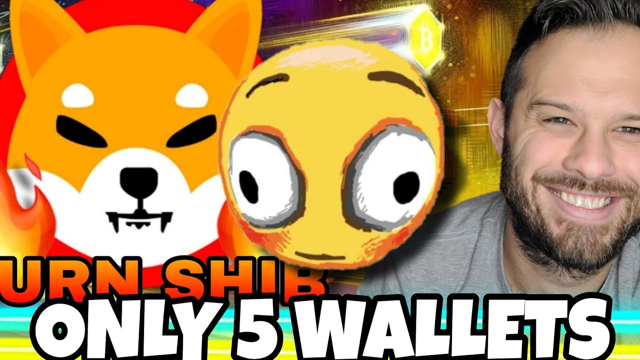 Shiba Inu Coin | Only 5 Wallets Hold ALL THE SHIB?! - YouTube
