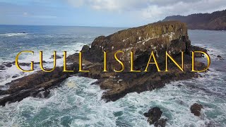 Gull Island - World Islands