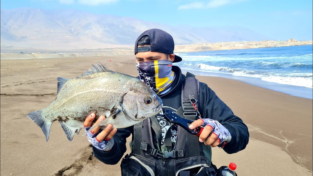 Pesca de Sargo y Cabrillas En Kayak (video SE HABIA BORRADO) - YouTube