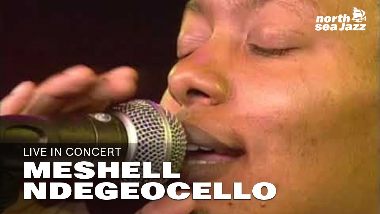 Meshell Ndegeocello: "Soul Record" | North Sea Jazz (1994) - YouTube