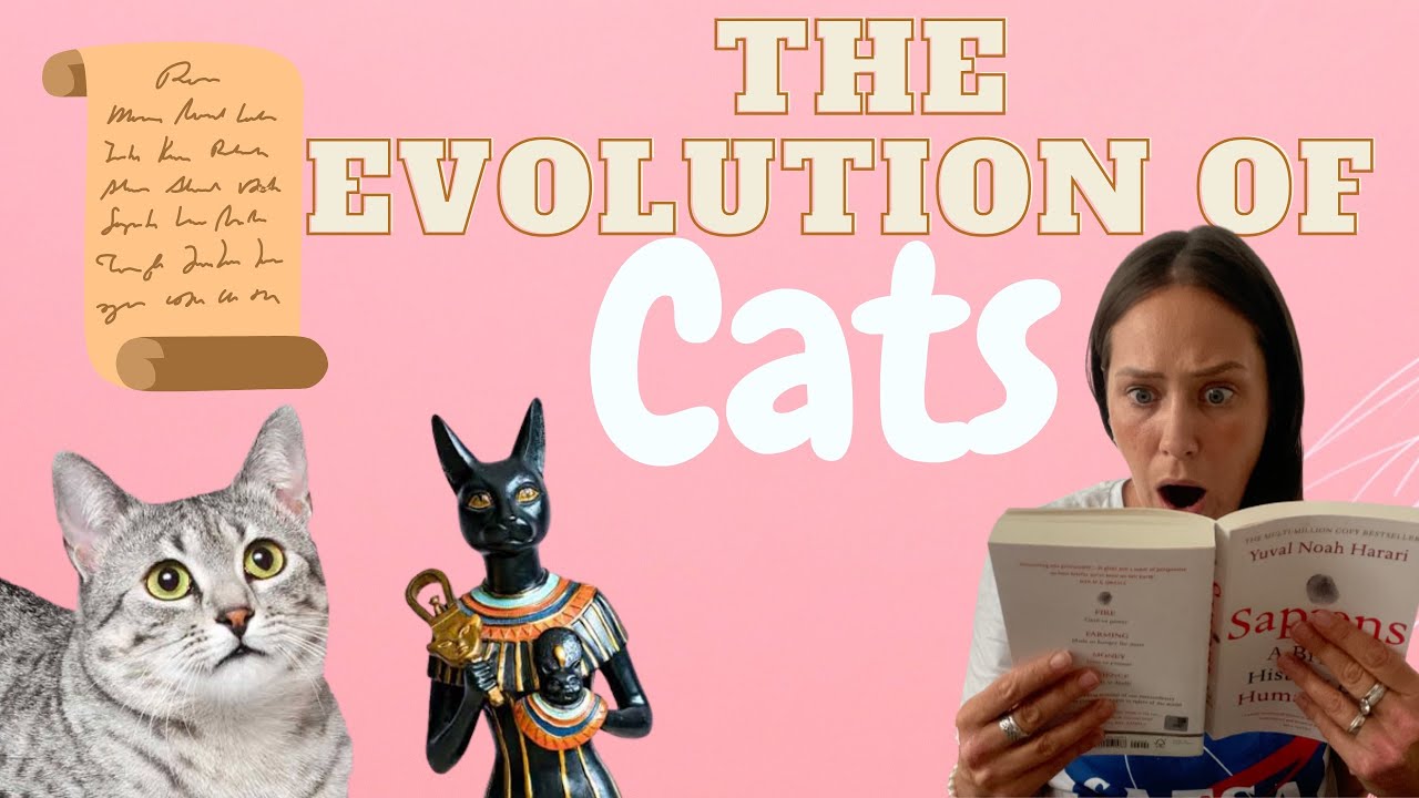 The Evolution of cats! We’re it all began. - YouTube