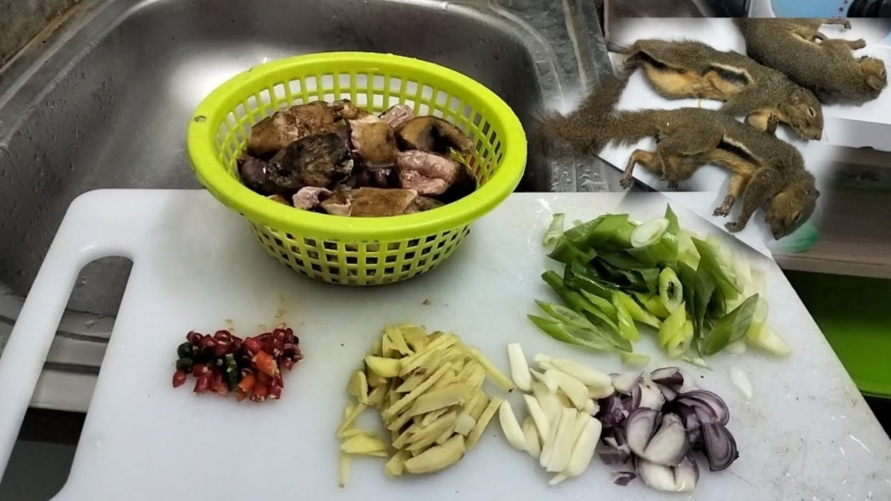 Masak Daging Tupai // Cooking Squirrel Meat - YouTube